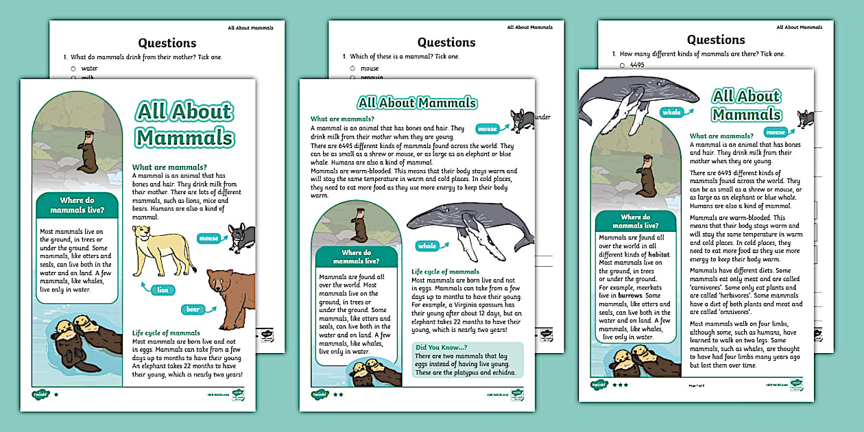 KS1 All About Mammals Differentiated Reading Comprehension Activity