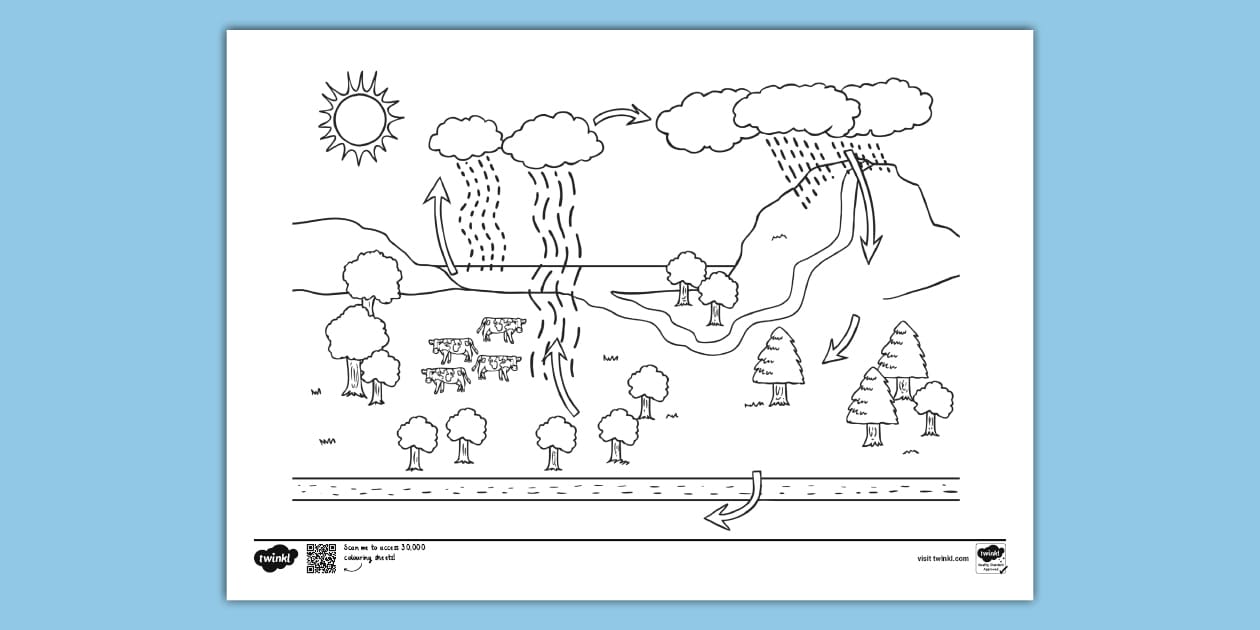Water Cycle Colouring Page | Colouring Sheets (Teacher-Made)