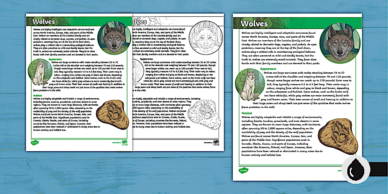 Wolves Fact File (teacher made) - Twinkl