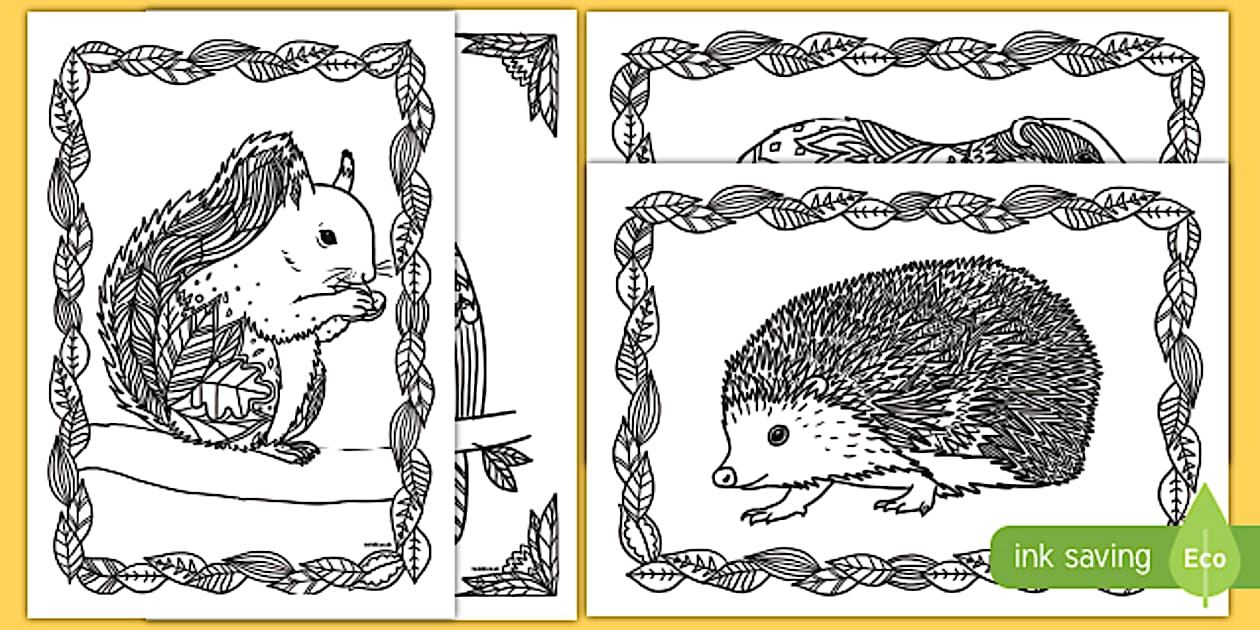 Adult Colouring Mindfulness Autumn Animals Pages - Twinkl