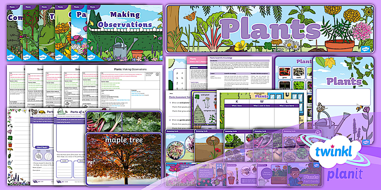 Science: Plants: Unit Pack Year 1 - Twinkl