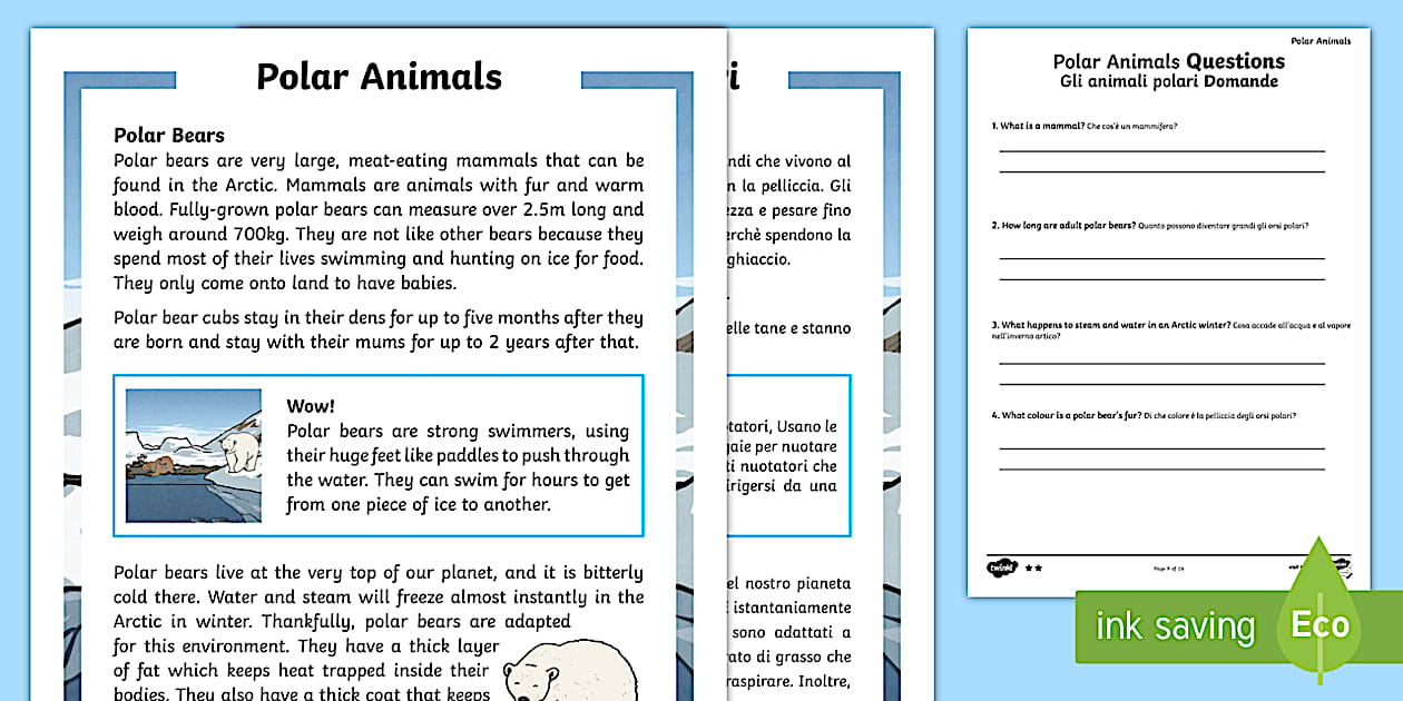 Lower Ability Polar Animals Differentiated Reading Comprehension Activity