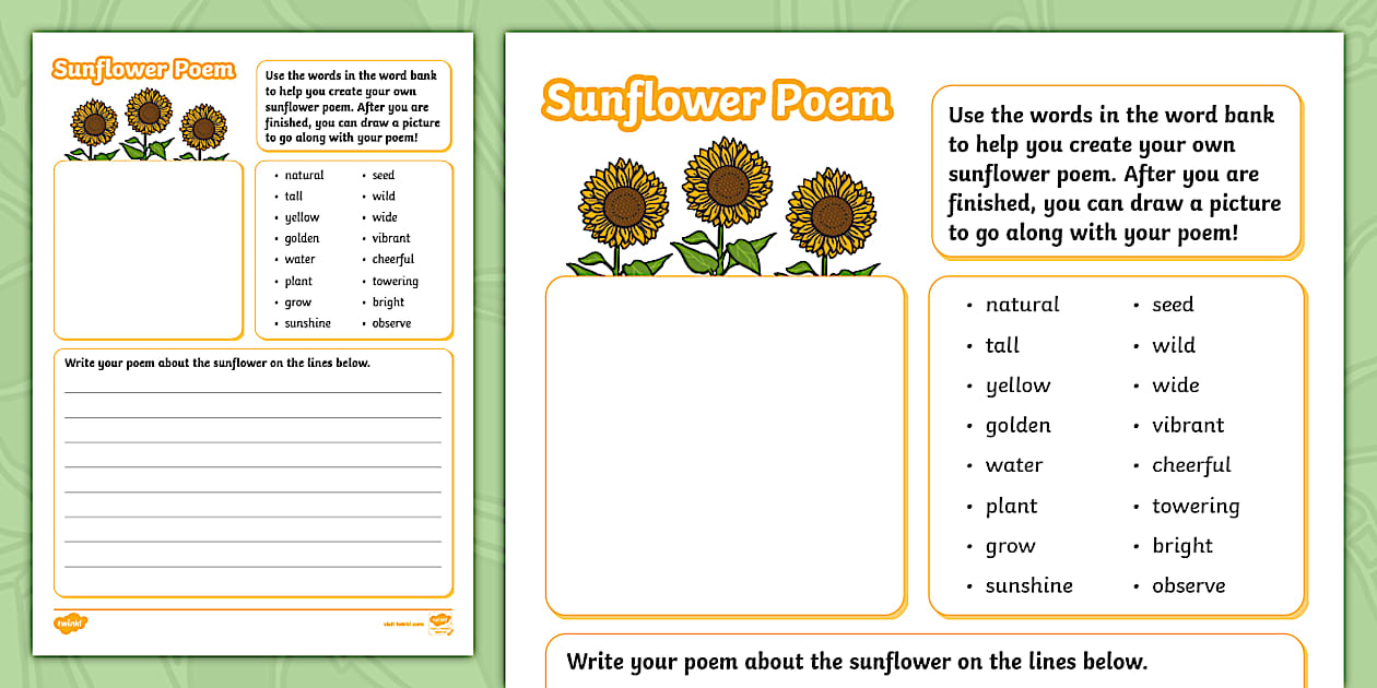 Sunflower Poem Writing Template - Twinkl