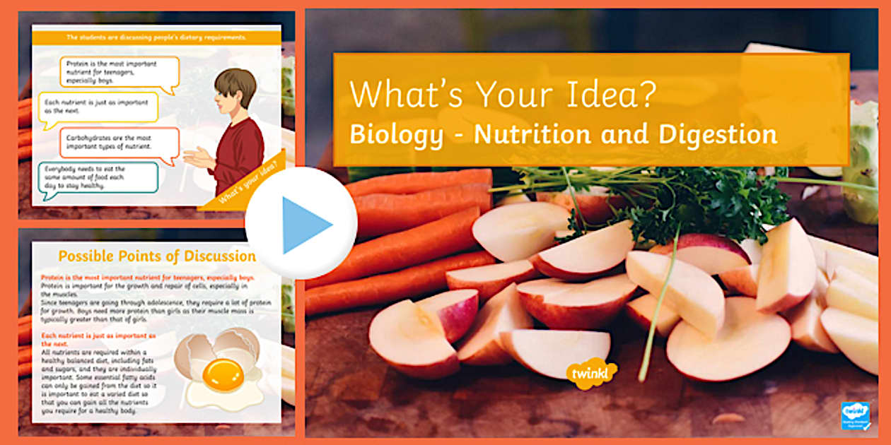 KS3 Nutrition and Digestion What's Your Idea? PowerPoint