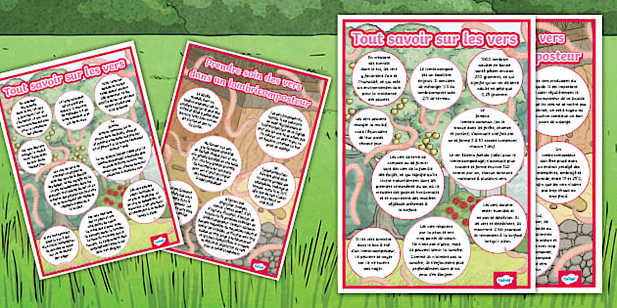 Affiches sur les vers et comment en prendre soin - Twinkl