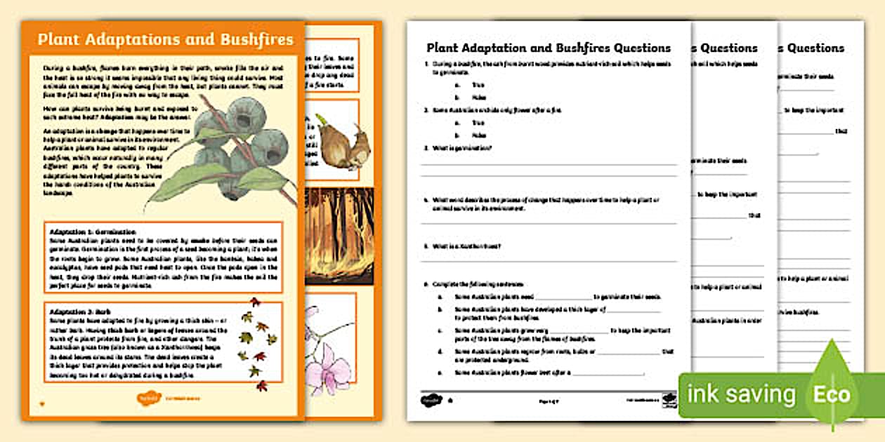 Bushfire Plant Adaptations Science Reading Comprehension
