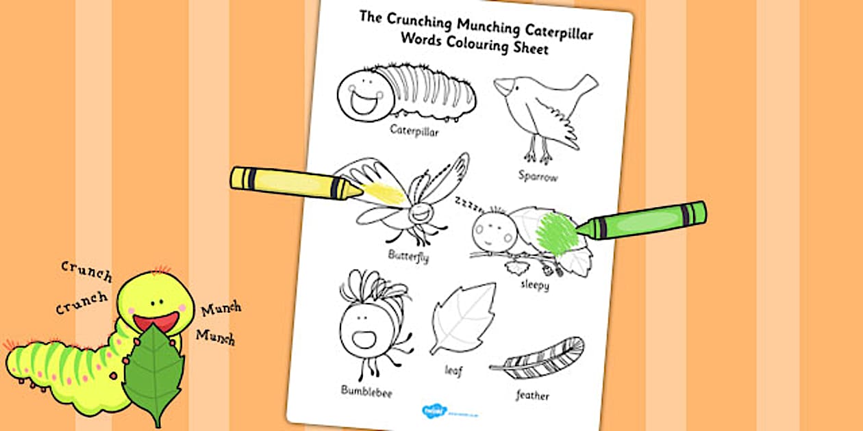 Words Colouring Sheet to Support Teaching on The Crunching Munching