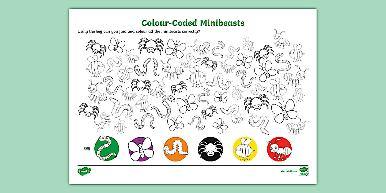 Colour Coded Minibeasts FS (teacher made) - Twinkl