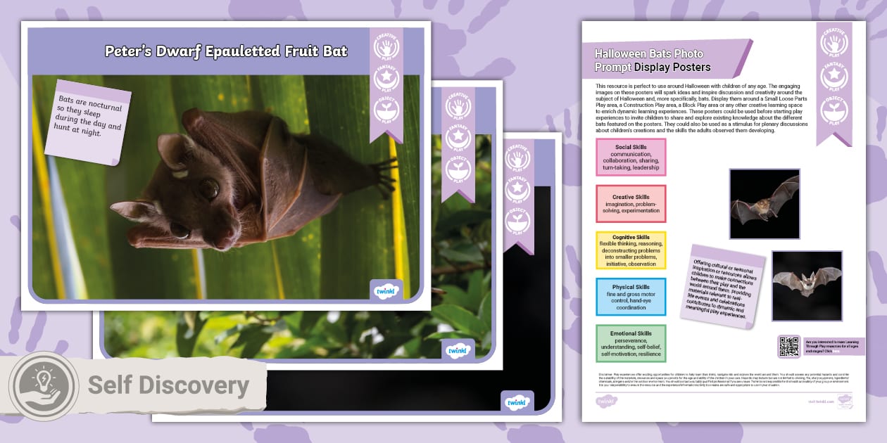 Halloween Bats Photos Play Prompt Pack (Teacher-Made)