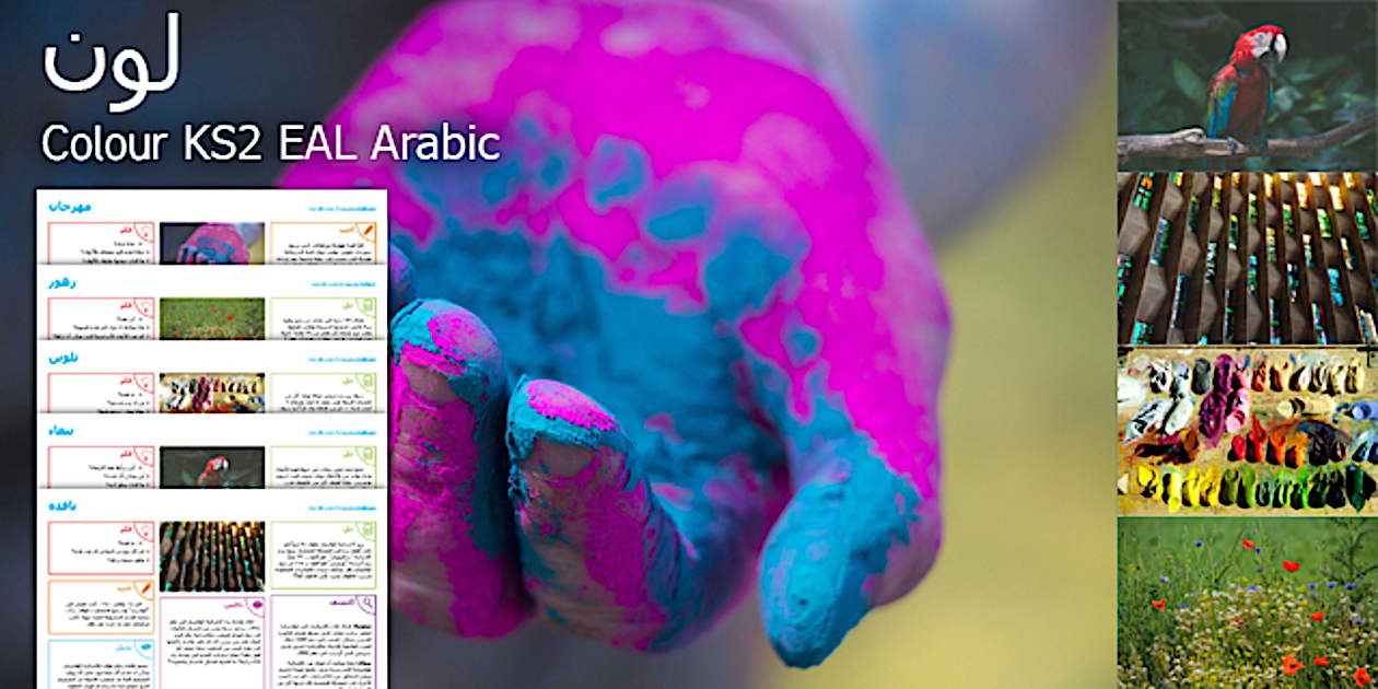 Imagine Colours KS2 Resource Pack Arabic - Twinkl