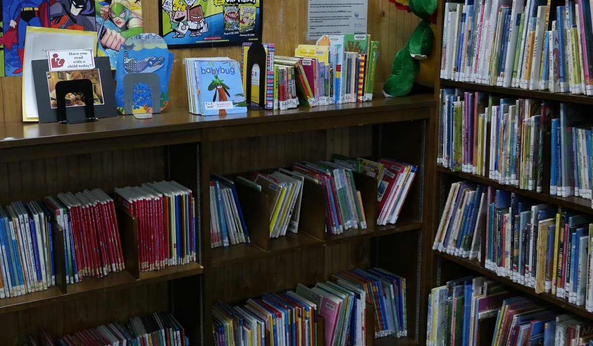 Eight-Year-Old Sneaks Home-Made Book into Library - Twinkl NewsRoom