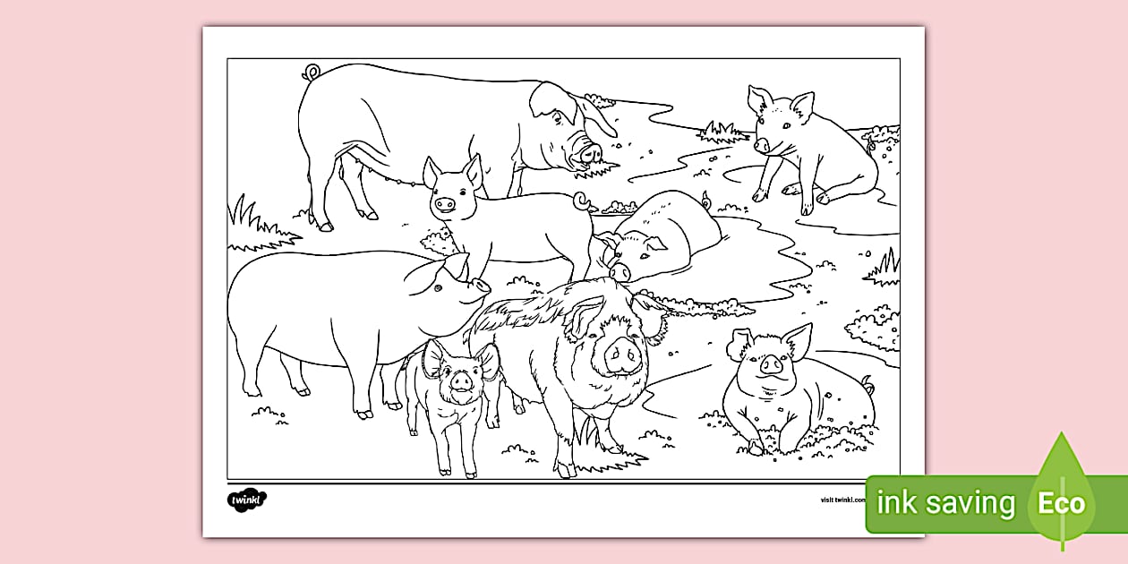Pig Colouring page