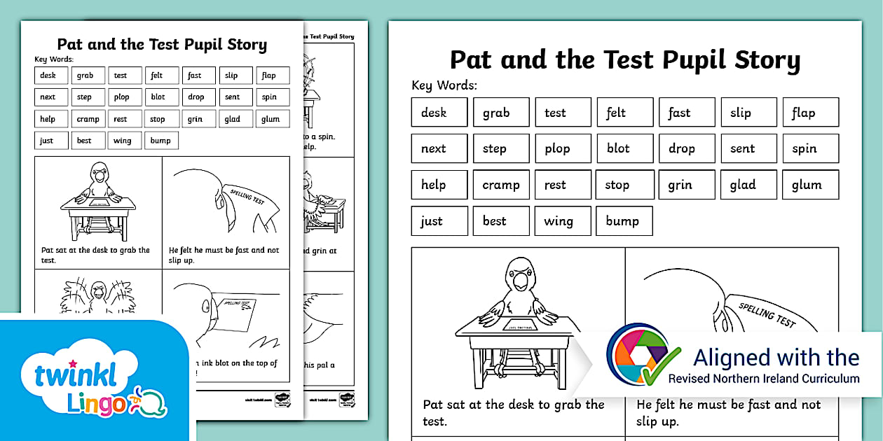 Pat and the Test Pupil Story Activity Sheet (Teacher-Made)