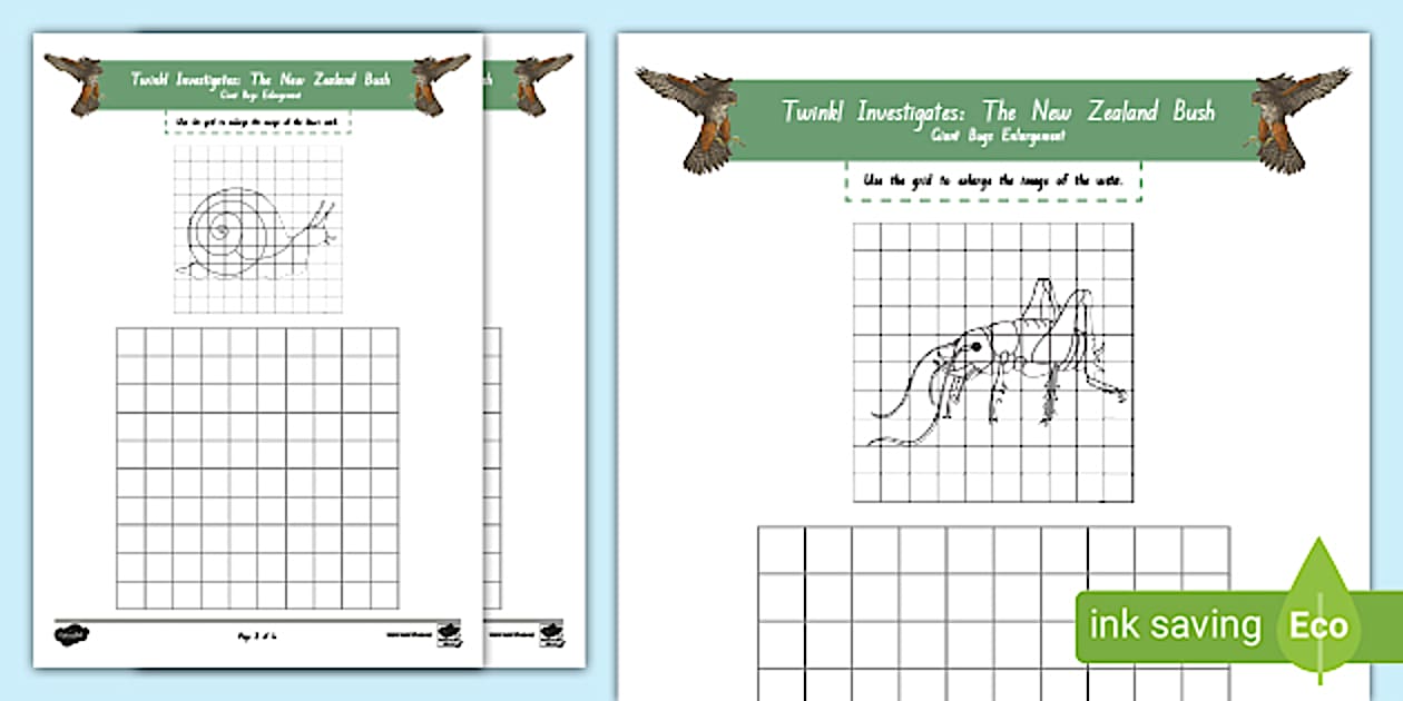 The New Zealand Bush - Giant Bugs Enlargement Activity