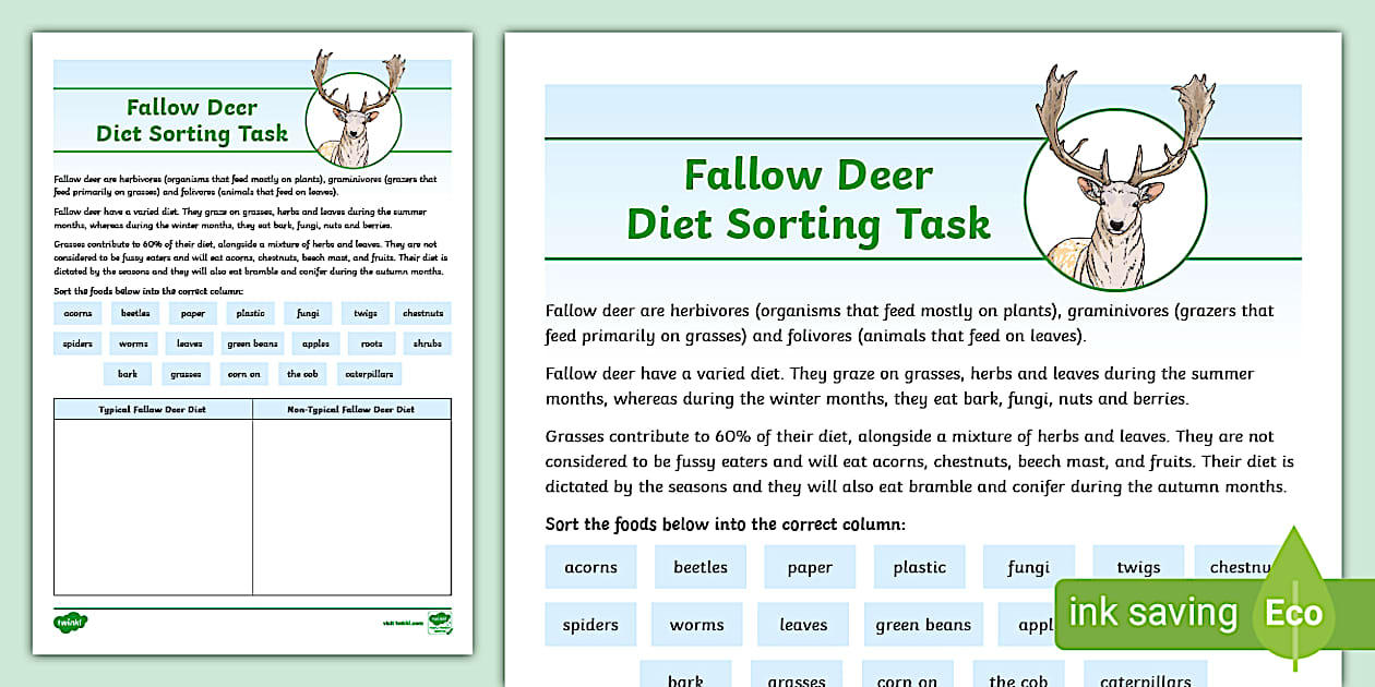 Fallow Deer Diet Sorting Task (teacher made) - Twinkl