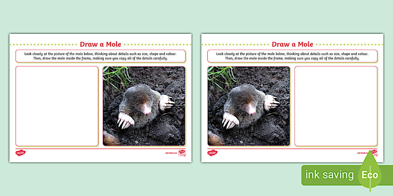 Draw a Mole Worksheet (Teacher-Made) - Twinkl