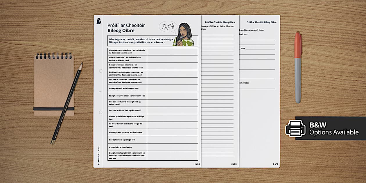 Próifíl ar Cheoltóir Bileog Oibre (teacher made) - Twinkl
