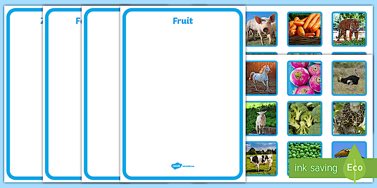 Photo Fruit, Vegetables, Farm Animals and Zoo Animals Sorting Activity