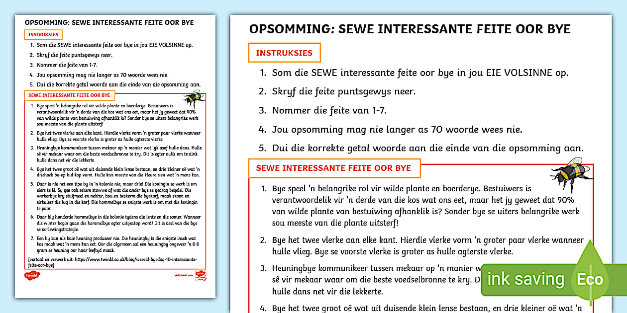 Opsomming - 7 Interessante Feite oor Bye (teacher made)