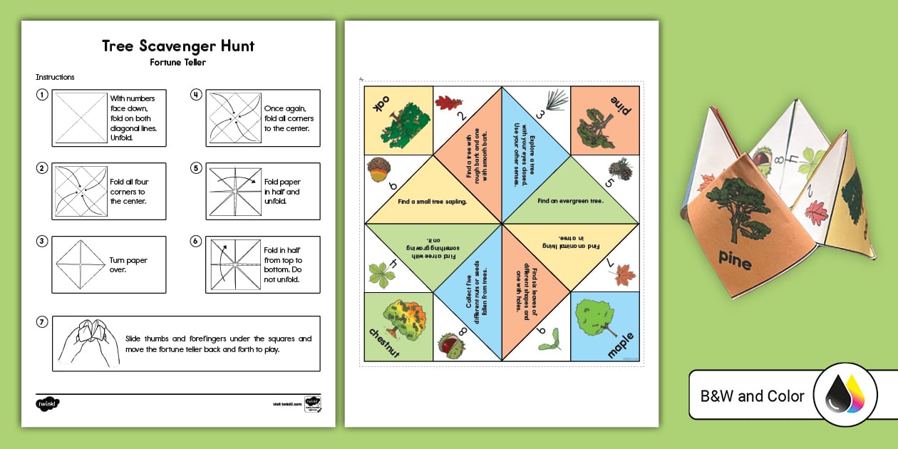 Tree Scavenger Hunt Fortune Teller (teacher made) - Twinkl