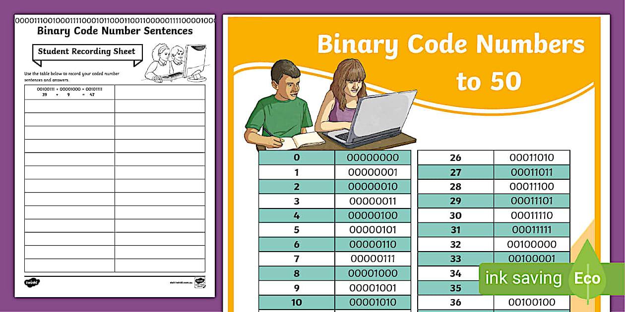 Binary Code Number Sentences Activity Pack (teacher made)