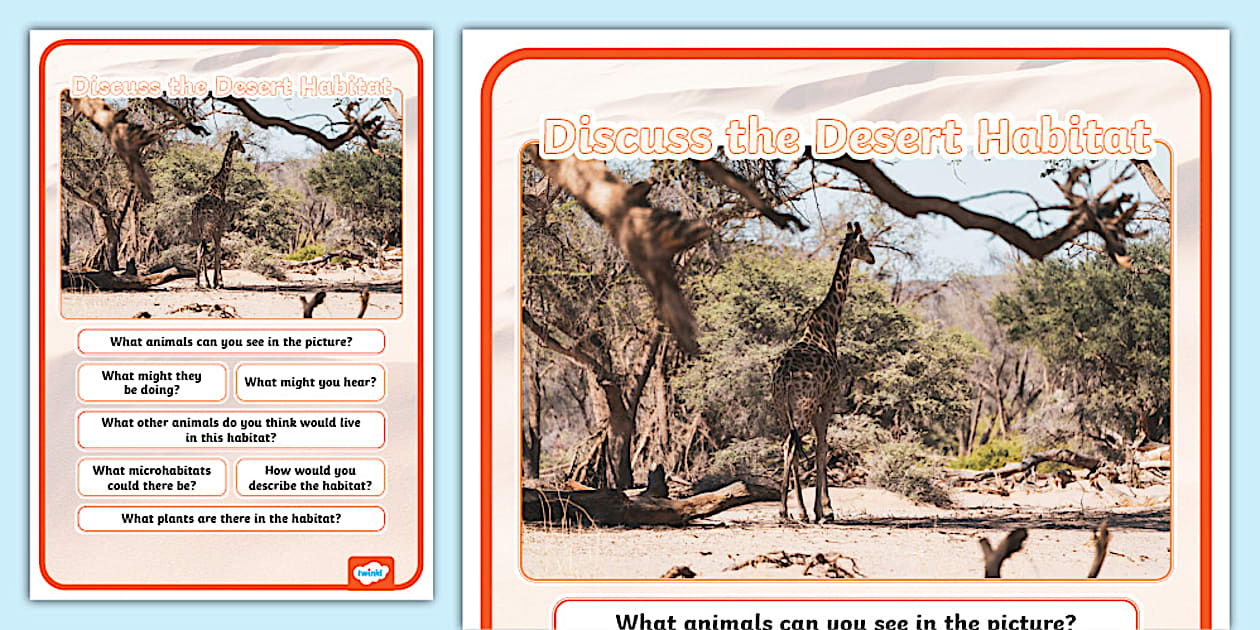 Discuss the Desert Habitat Picture Prompt (teacher made)