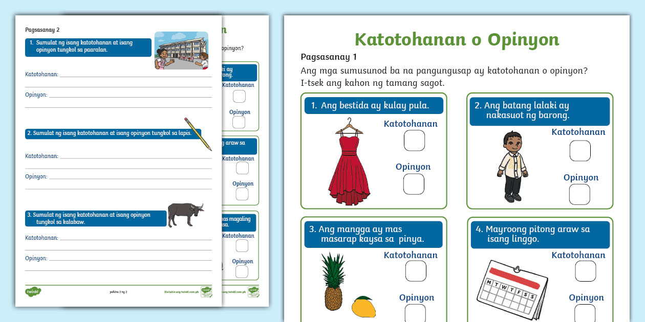 Katotohanan o Opinyon: Worksheet | Grades 2 - 6 | Twinkl PH