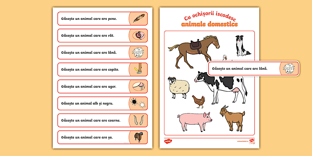Cu ochișorii iscodesc animale domestice – Fișă de activitate