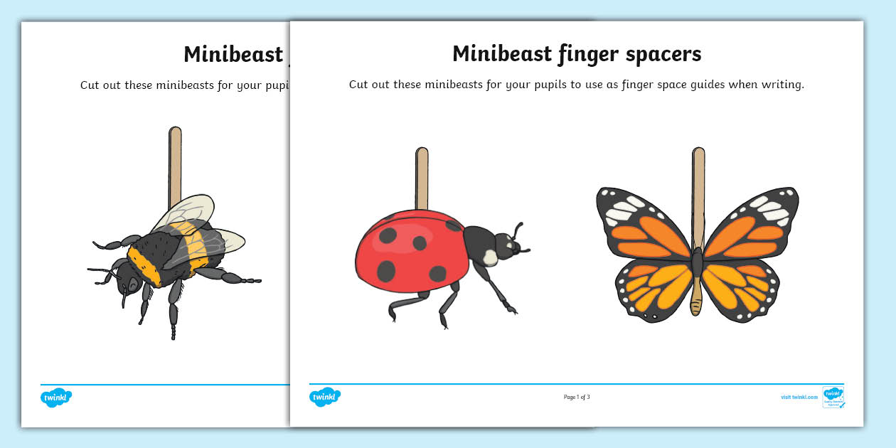 Writing Finger Spacers minibeast (teacher made) - Twinkl