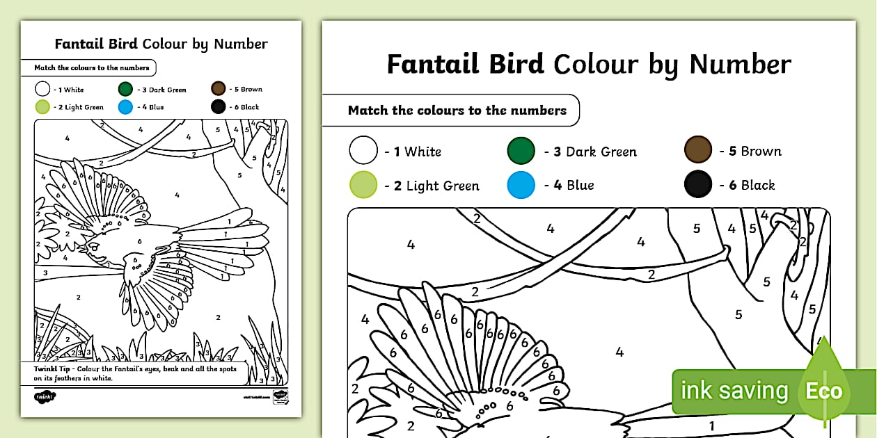 Free Fantail Bird Colour by Number for Kids: Download now!