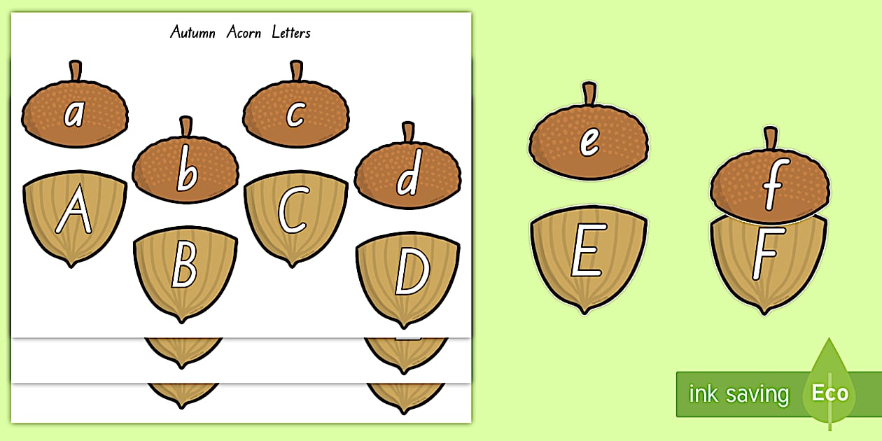 Dyslexic Acorn Letters Matching Cards (teacher made)