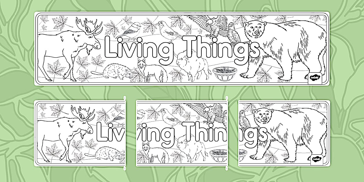 Living Things Colouring Display Banner - Twinkl