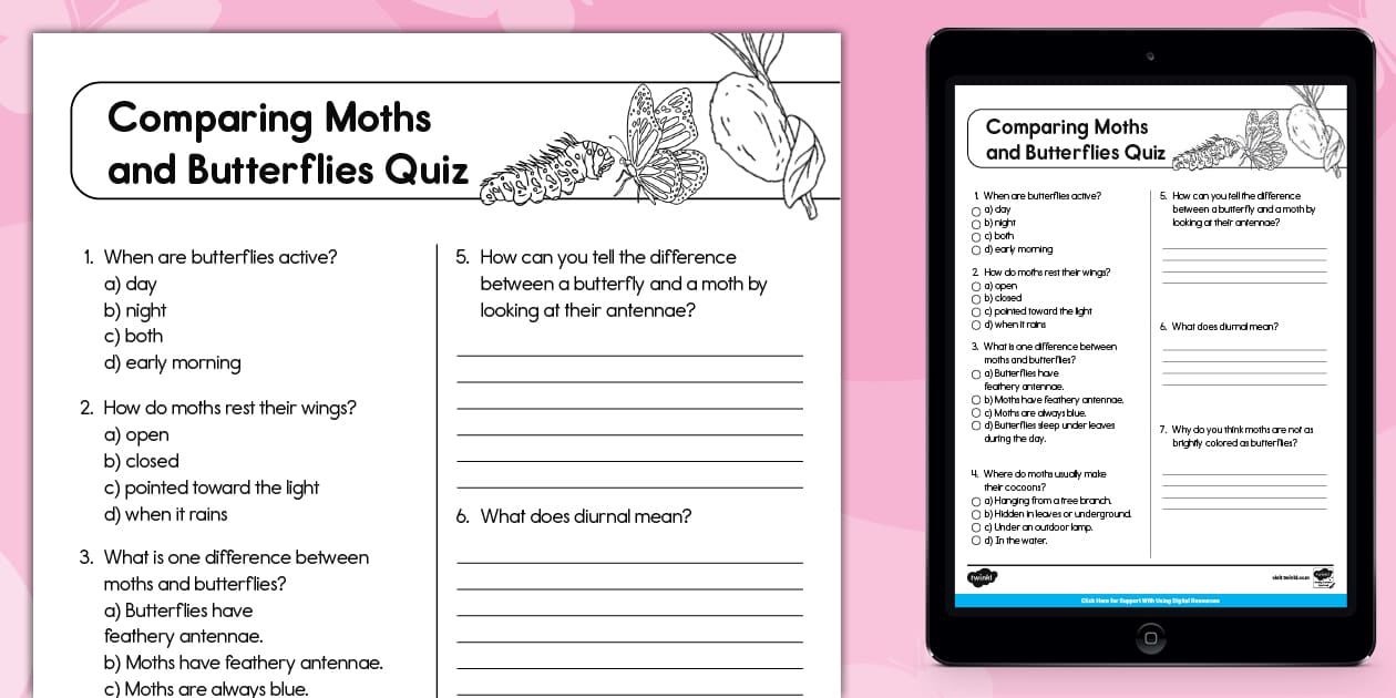 Comparing Moths and Butterflies Quiz for K-2nd Grade