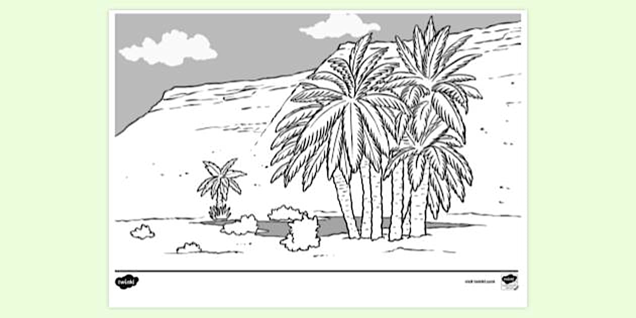 Oasis Colouring Sheet (teacher made) - Twinkl