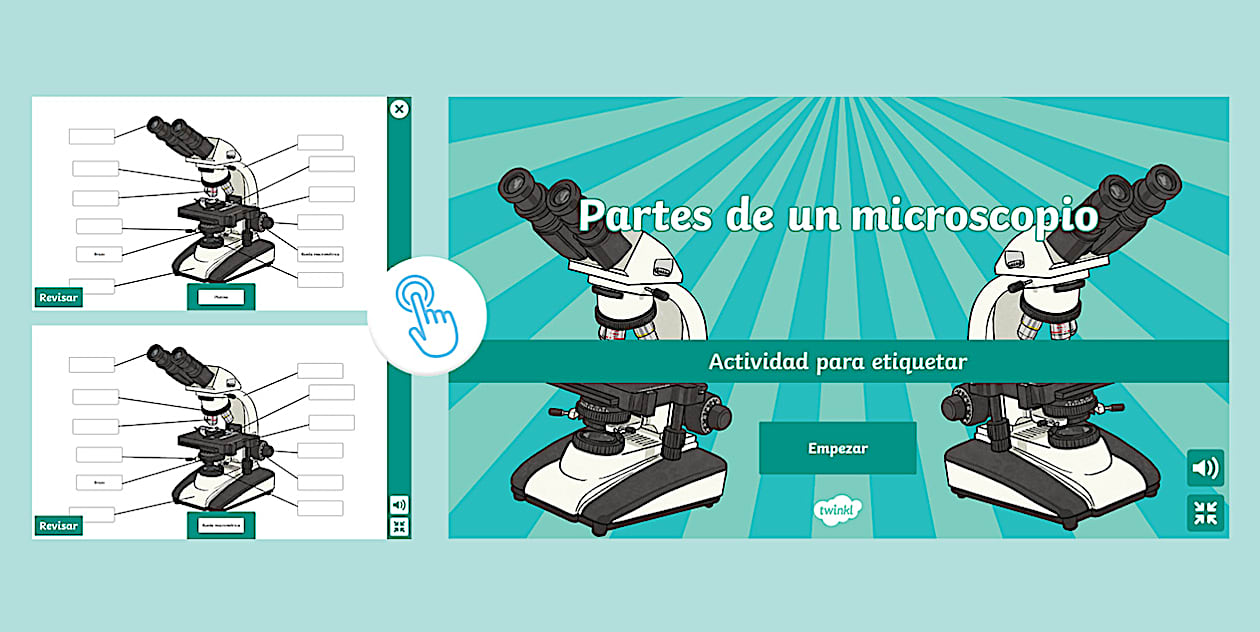 Actividad para etiquetar: Partes de un microscopio