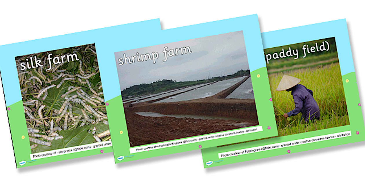 Different Types of Farm Photo PowerPoint (teacher made)
