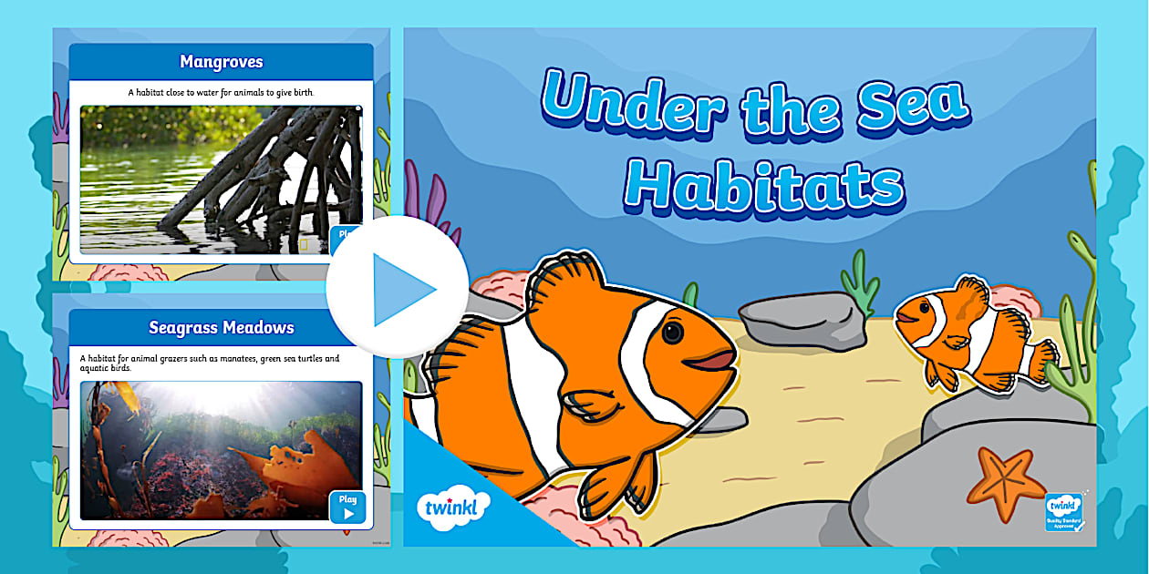 Water Animals and Marine Habitats PowerPoint | Twinkl