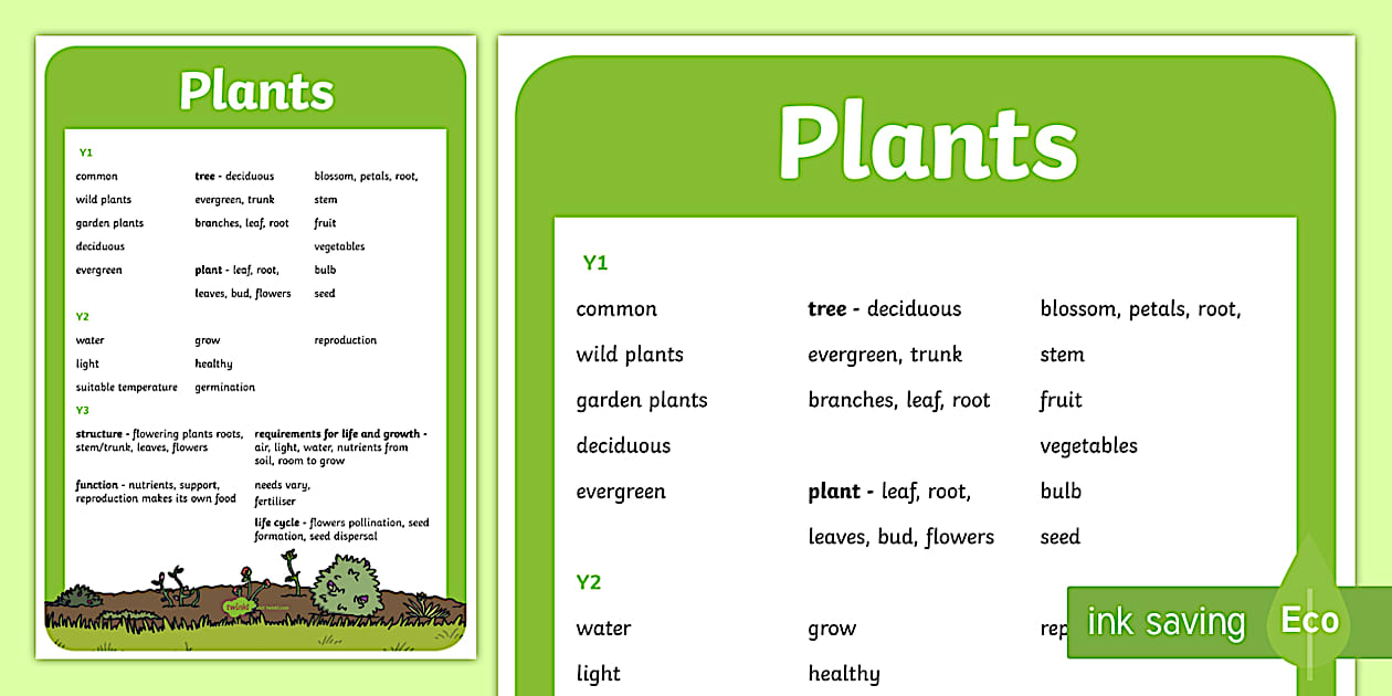Year 1 to Year 3 Plants Scientific Vocabulary Progression Poster