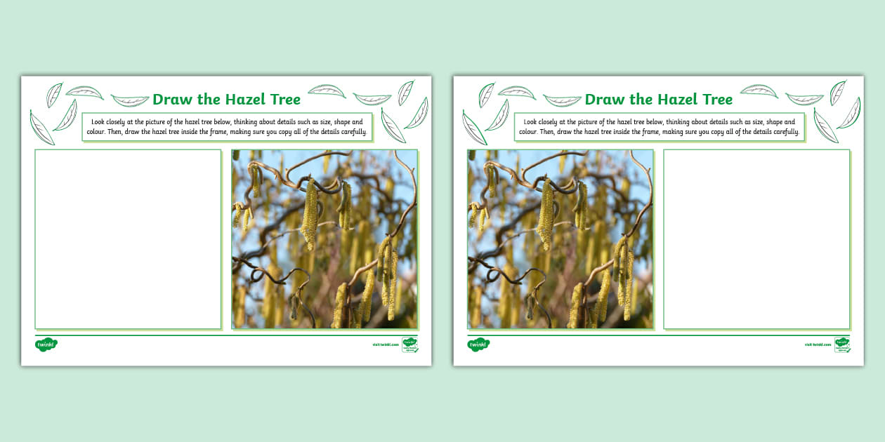 Draw the Hazel Tree Worksheet - Twinkl Art (Teacher-Made)
