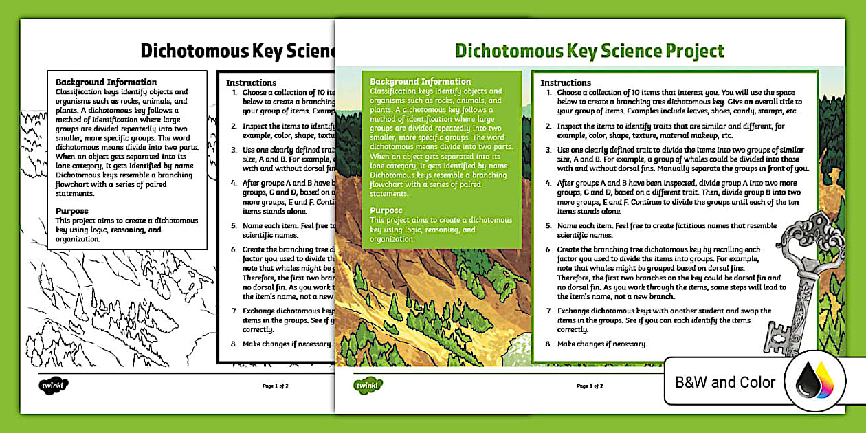 Dichotomous Key Project for 7th Grade | Twinkl USA - Twinkl