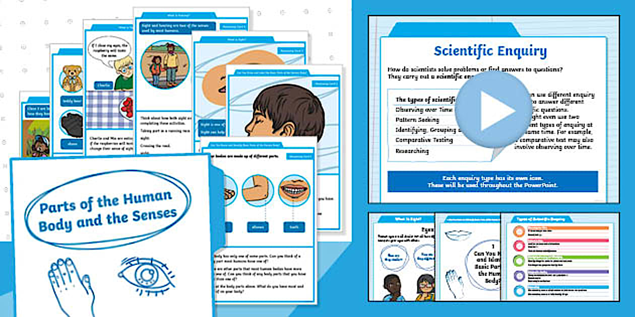 Step into Science: Y1: Autumn: Block 1: The Human Body: Steps 1 to 7