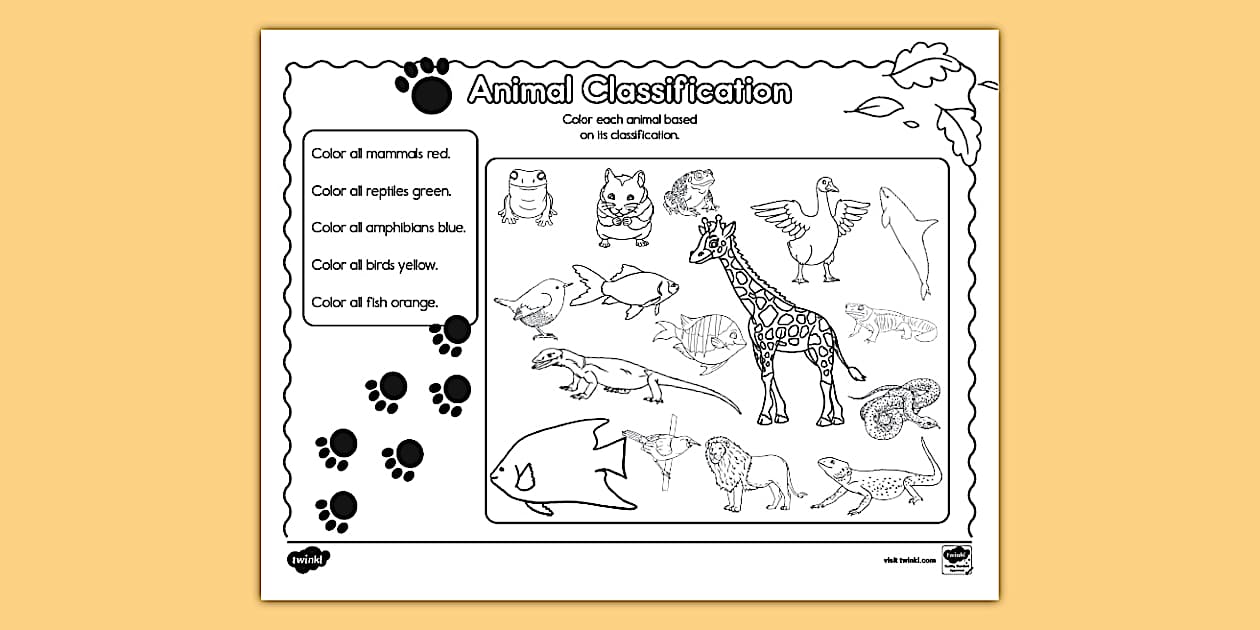 Animal Classification Worksheet for K-2nd Grade - Twinkl