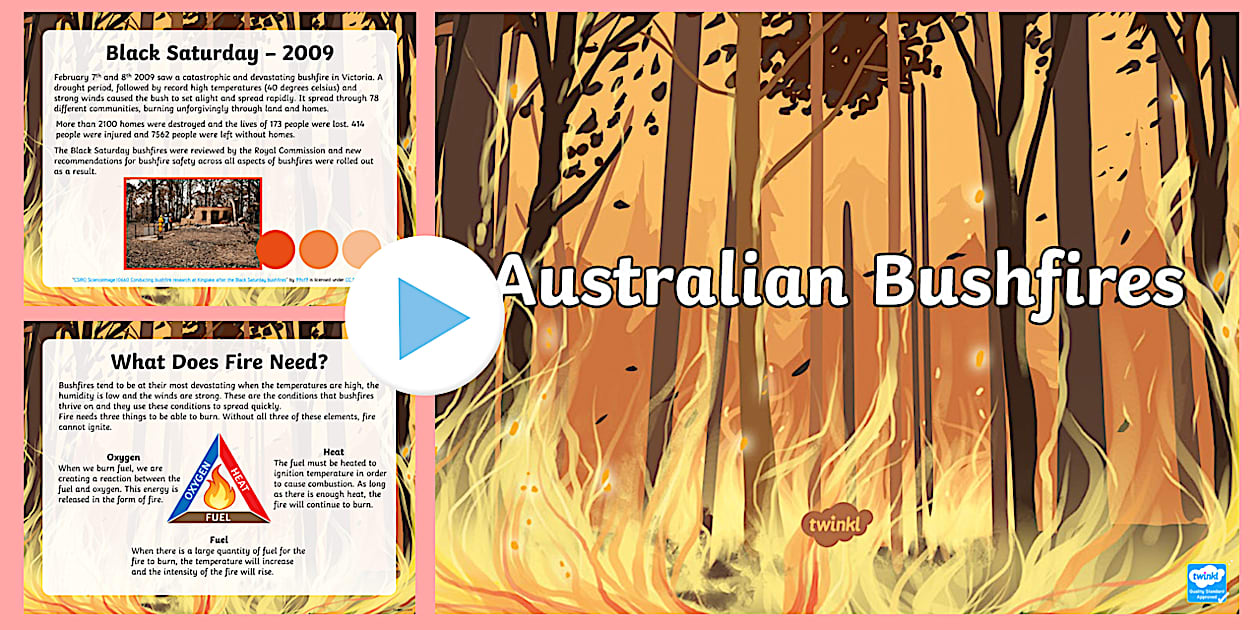 Australian Bushfires PowerPoint (teacher made) - Twinkl