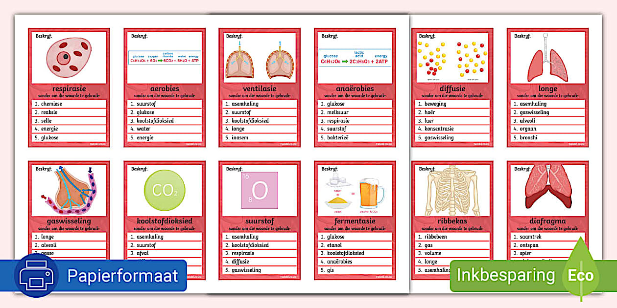 Respirasie en Gaswisseling Besprekings Aktiwiteit - Twinkl