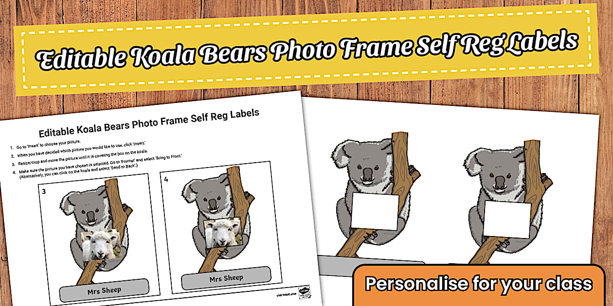 Editable Koala Bears Photo Frame Self Reg Labels - Editable Space ...