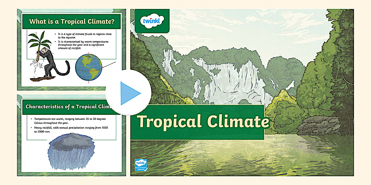 Tropical Climate PowerPoint (teacher made) - Twinkl