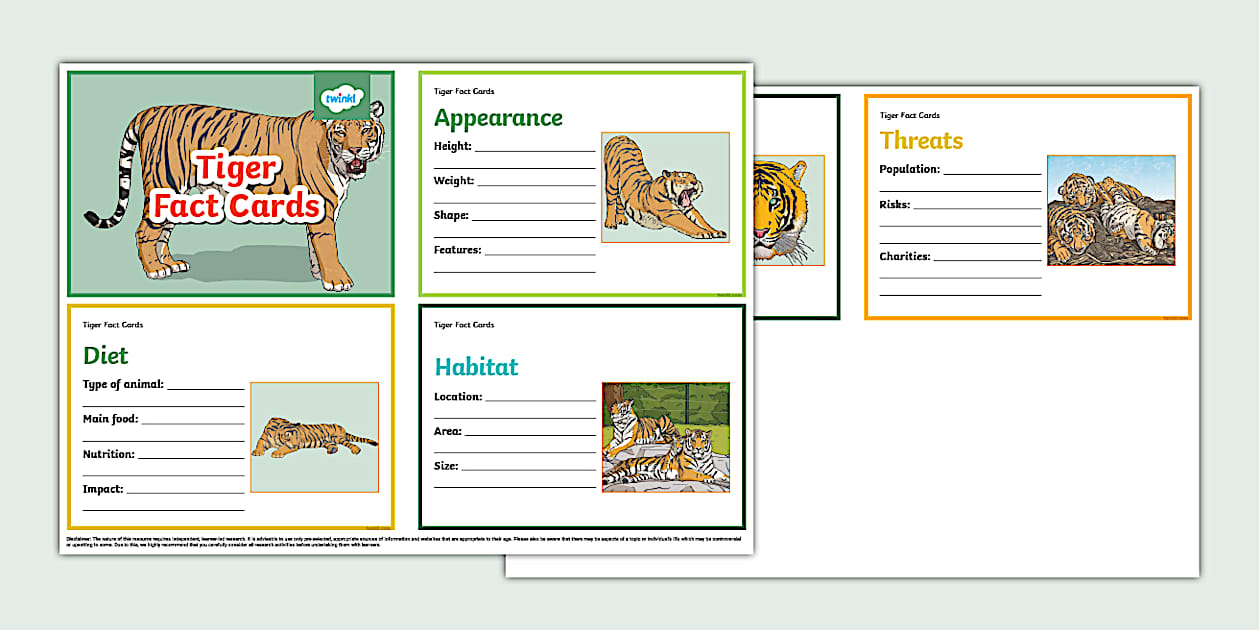 Tiger Fact Cards Template (teacher made) - Twinkl