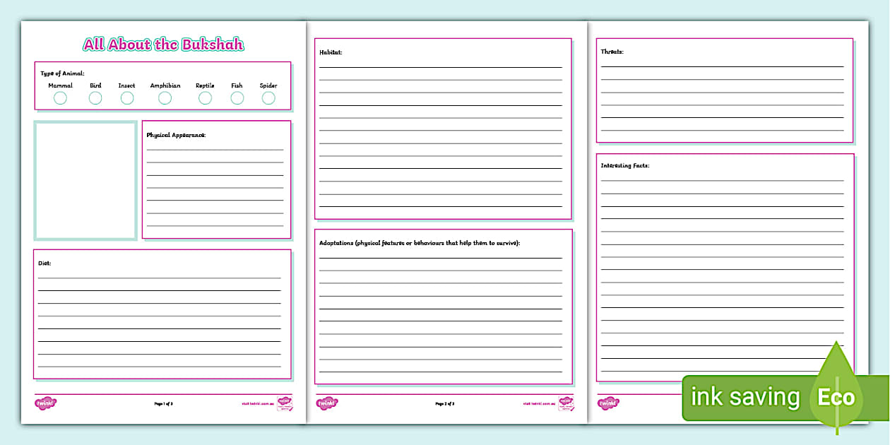 Information Report to Support Teaching on Rowan of Rin