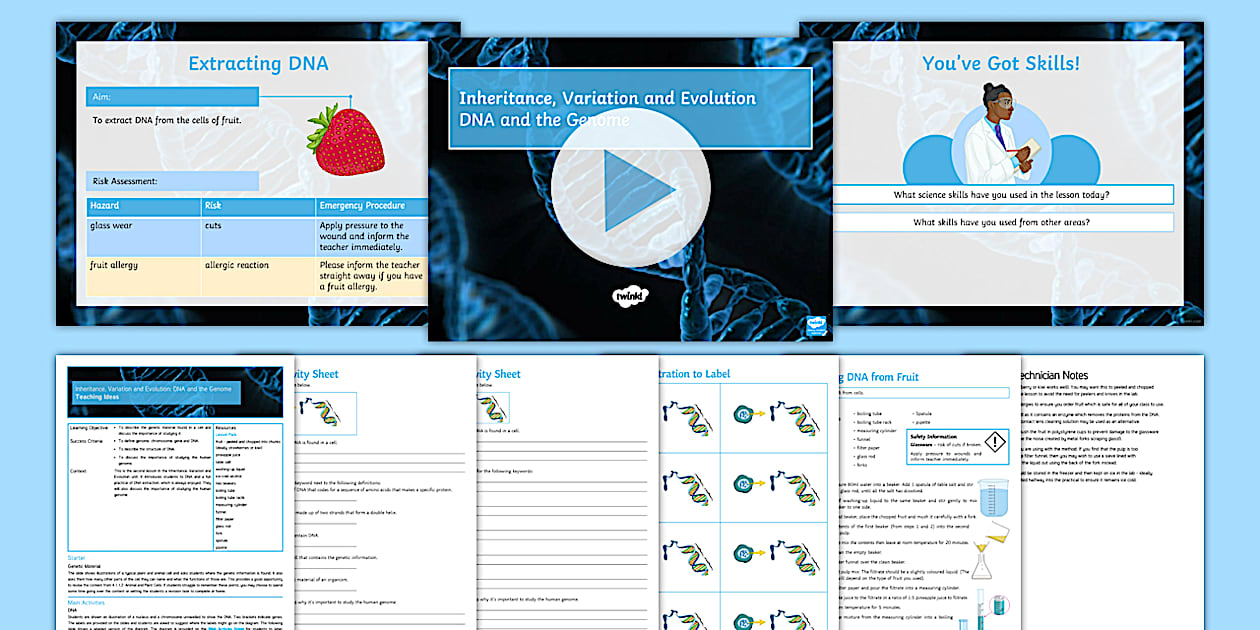AQA Inheritance, Variation and Evolution Lesson 2: DNA Structure and Genome