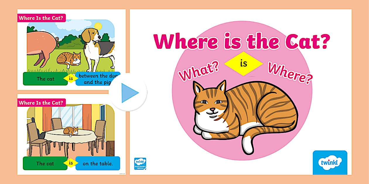 Where is the Cat? What? Where? Colourful Semantics Preposition PowerPoint